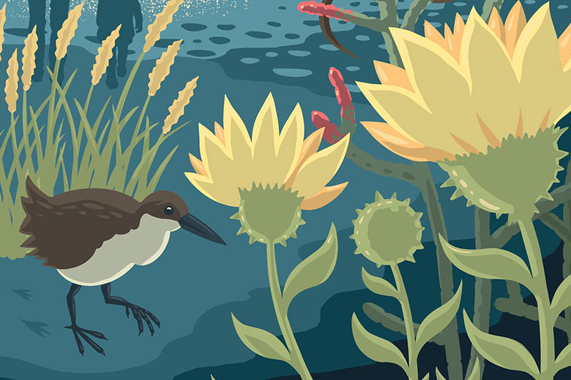 Illustrations - T.L. Simons